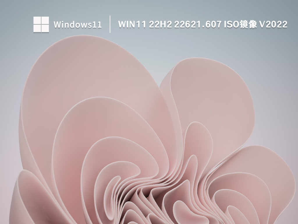 Win11 22H2最新版下载_Win11 22H2(22621.607)9月最新ISO镜像下载-纯净之家